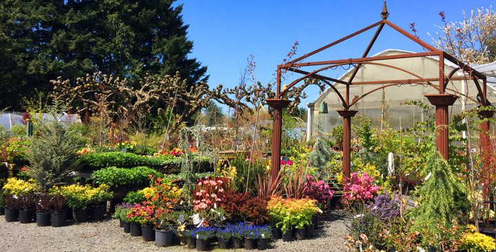 Little Red Farm Nursery