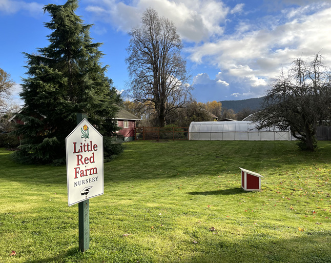 Little Red Farm Nursery